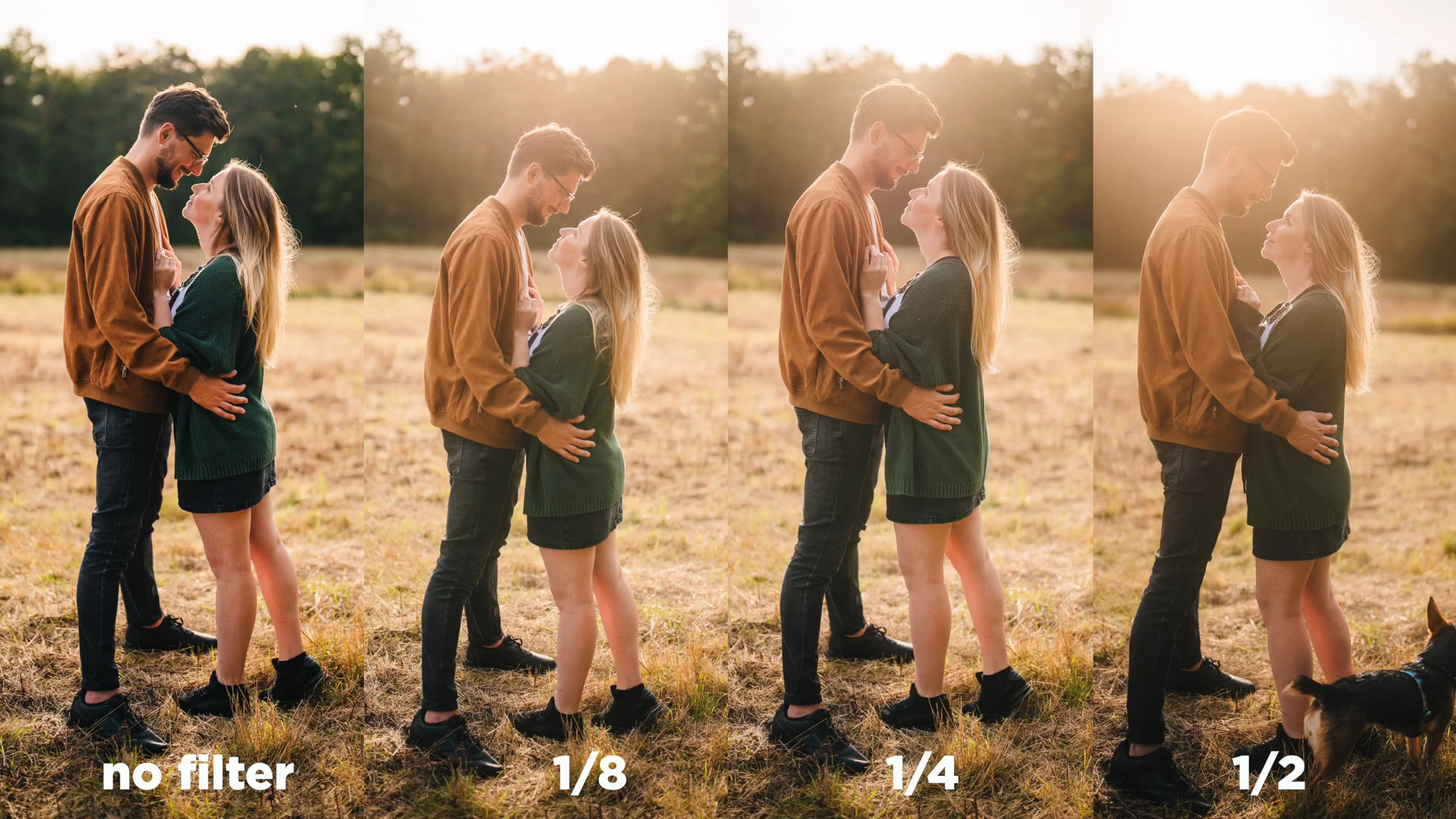 NiSi 95mm Professional Black Mist Kit with 1/2, 1/4, 1/8 and Case ...